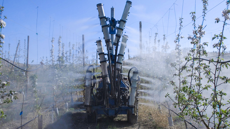 Precision Pollination System - Firman Pollen